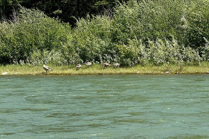 Scenic Float Trip on the Snake River in Grand Teton National Park - The Sum Up