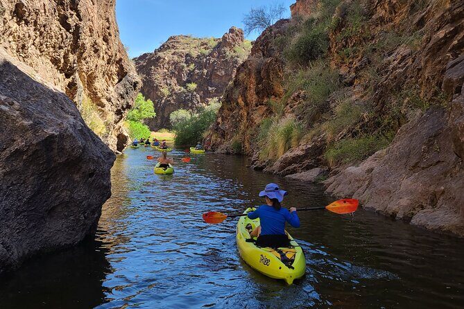 Scenic Guided Kayaking Tour on Saguaro Lake - Who Will Love This Tour?