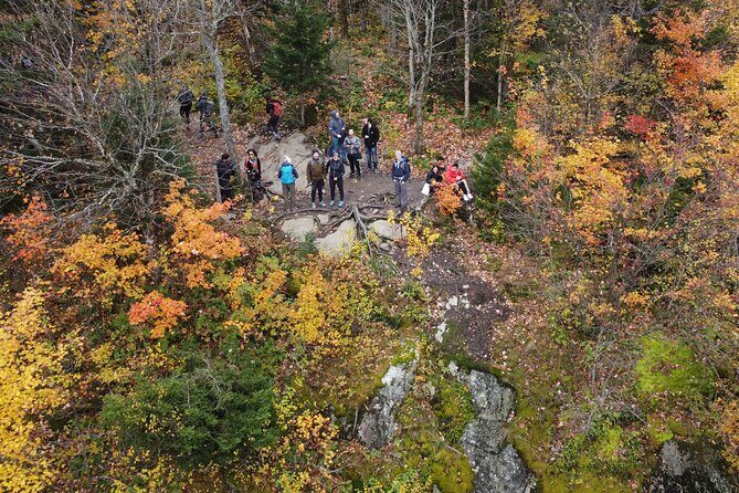 Scenic Hiking Adventure at Mont-Orford National Park - Key Points