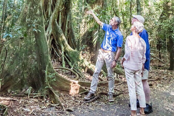 Scenic Hinterland Guided Day Tour Inc Lunch, Tastings From Noosa - Introduction: A Day of Scenic Beauty and Savory Flavors