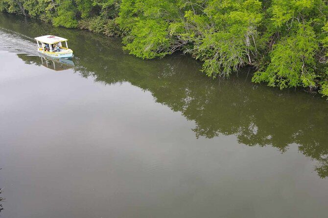Scenic & Historical Nature Boat Safari Up the Negril River - Practical Details and Value