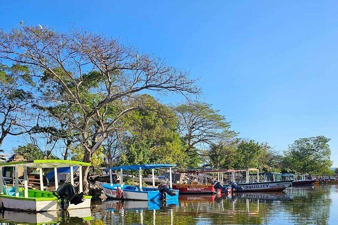 Scenic & Historical Nature Boat Safari Up the Negril River - Who Will Love This Tour?