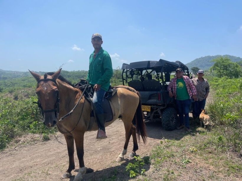 Scenic Horseback Ride in Tropical Mountain Reserve - An In-Depth Look at the Tour Experience