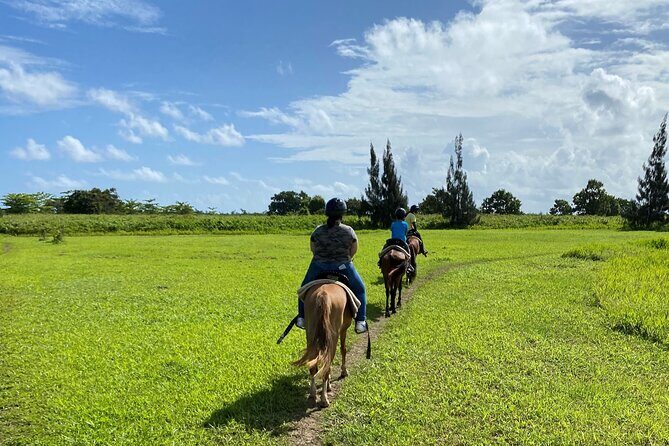 Scenic Horseback Riding Tour from San Juan - Authentic Traveler Insights