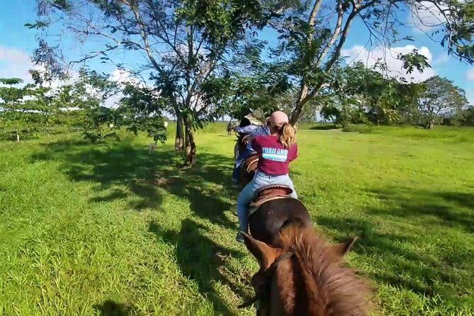 Scenic Horseback Riding Tour from San Juan - The Sum Up