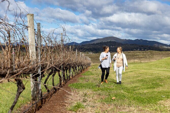 Scenic Hunter Valley Tour with Wine and Cheese Tastings - Authentic Reviews: What Past Travelers Say