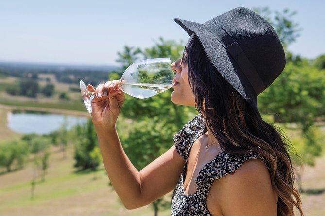 Scenic Hunter Valley Tour with Wine and Cheese Tastings - FAQ