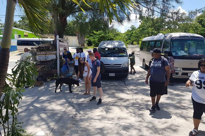 Scenic Island Private Tour - Key Points