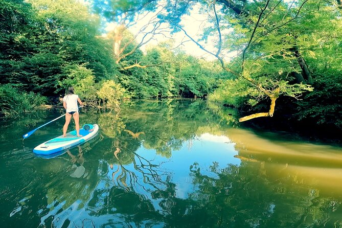 Scenic Paddleboarding Adventure: Nové Mlýny to Lednice - Introduction: A Unique Way to Experience South Moravia’s Beauty