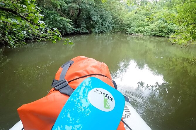 Scenic Paddleboarding Adventure: Nové Mlýny to Lednice - The Sum Up: Is This Experience Worth It?