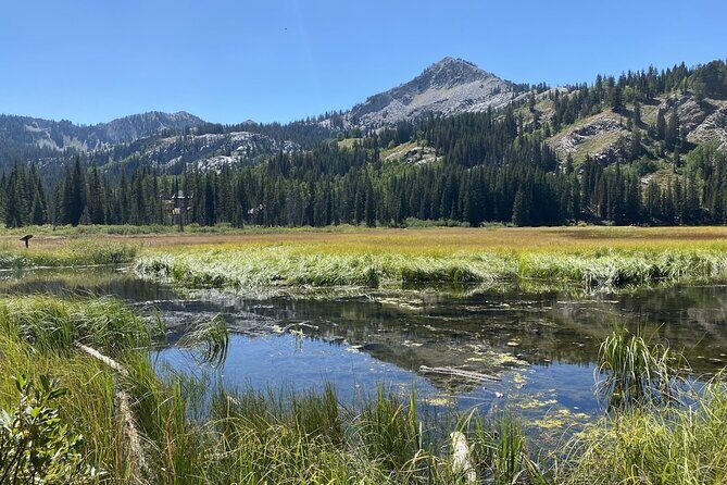Scenic Park City Tour via Big Cottonwood Canyon - Final Thoughts