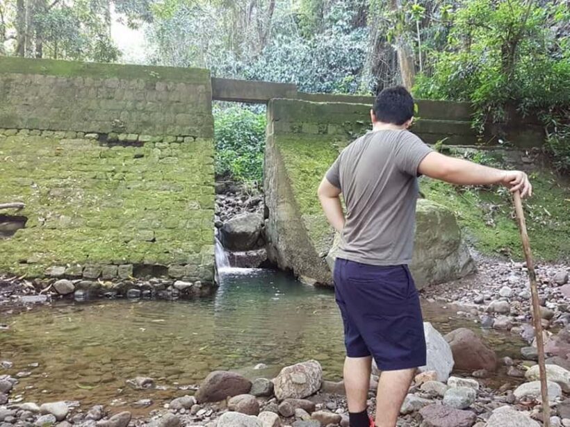 Scenic Rainforest Hike & Snacks - Final Words: Is It Worth It?