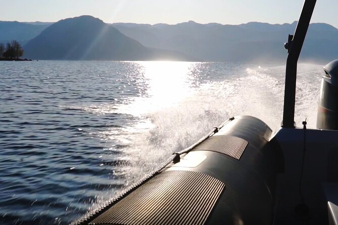Scenic RIB Adventure to Hardangerfjord & Fyksesund From Øystese - Safety and Participation Requirements