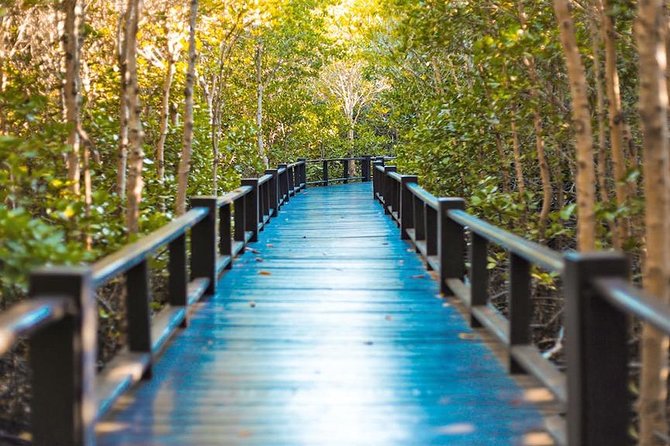 Scenic River Trip on the Pranburi River - Analyzing the Value