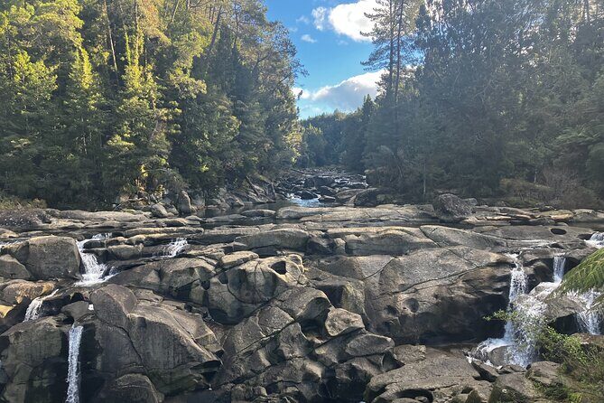 Scenic Short Hike Tour - Papamoa Hills and McLaren Falls - Key Points