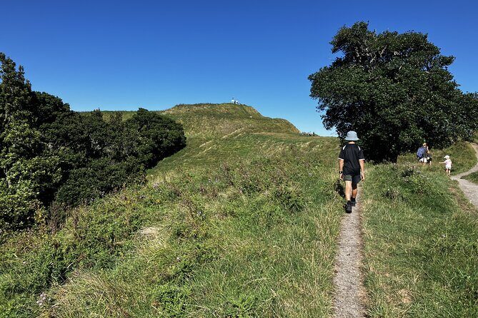 Scenic Short Hike Tour - Papamoa Hills and McLaren Falls - An Inside Look at the Itinerary