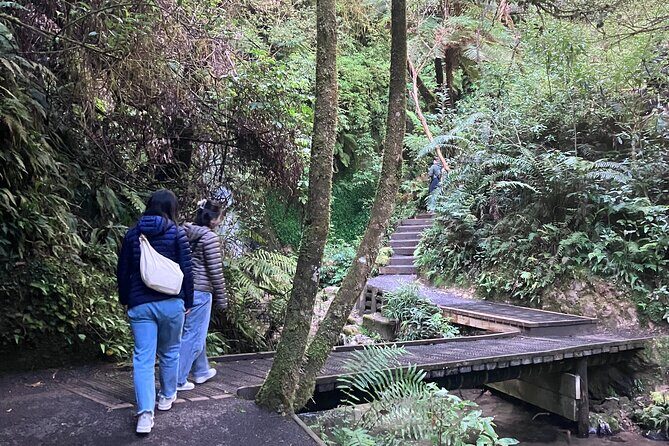 Scenic Short Hike Tour - Papamoa Hills and McLaren Falls - FAQ