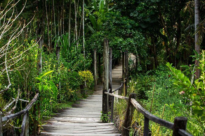 Scenic Sigatoka Valley Drive, Fijian Pottery Village, Local School & Sand Dunes - Who Will Love This Tour?