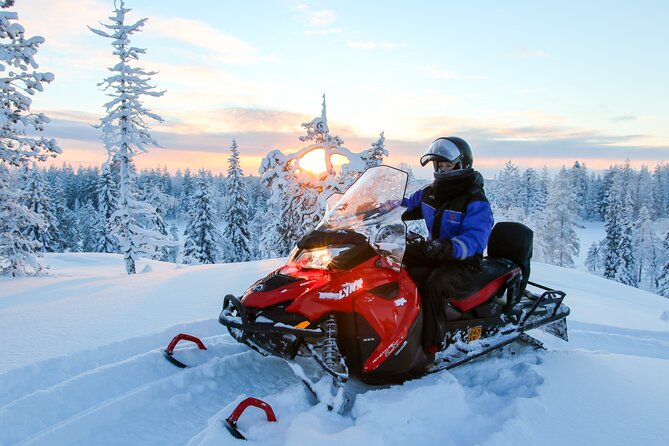 Scenic Snowmobile Safari in Saariselkä - Key Points