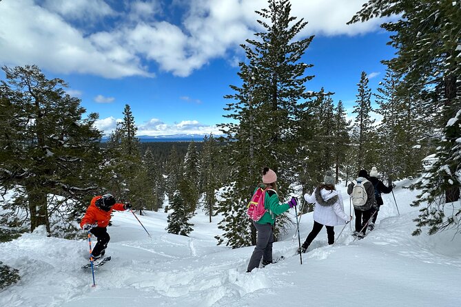 Scenic Snowshoe Adventure in South Lake Tahoe, CA - Navigating the Trails