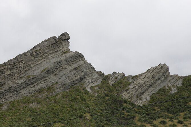 Scenic South Wairarapa Full Day Tour from Wellington - An In-Depth Look at the South Wairarapa Tour