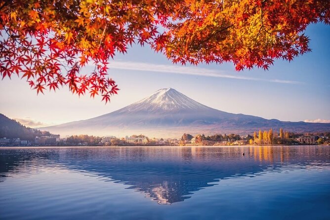 Scenic Spots of Mt Fuji and Lake Kawaguchi 1 Day Bus Tour - Tour Logistics