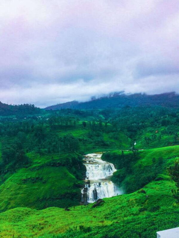 Scenic Sri Lanka 4-day tour - The Practical Side: What’s Included and What to Expect