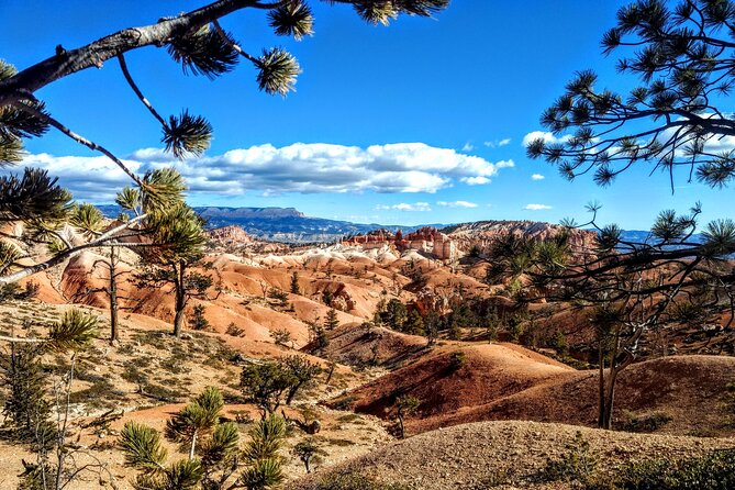 Scenic Tour of Bryce Canyon - Exploring the Scenic Tour of Bryce Canyon