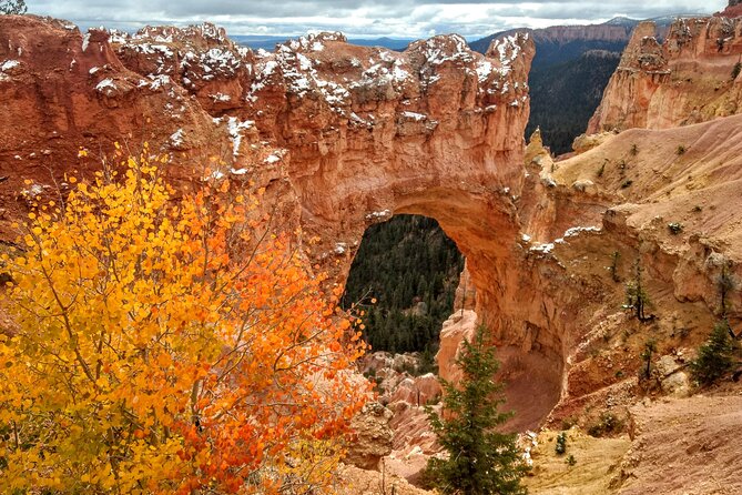 Scenic Tour of Bryce Canyon - Who Will Love This Tour?