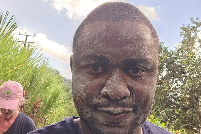 Scenic Tour of City and Rainforest, Waterfall, Sulphur Springs . - Who Will Love This Tour?