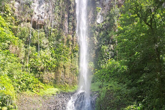 Scenic Tour of City and Rainforest, Waterfall, Sulphur Springs . - Final Thoughts