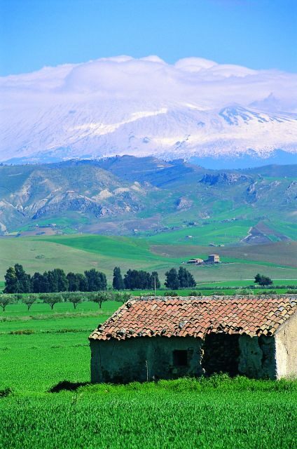 Scenic Tour of Etna foot hills and Alcantara Gorges - What’s Included and What’s Not