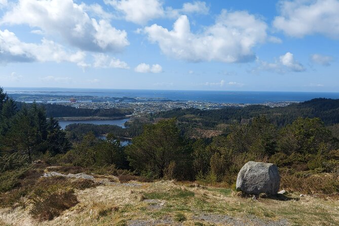 Scenic Tour to Steinsfjellet, Locals at Kringsjå & Rising Tide - Discovering the Beauty of Rising Tide