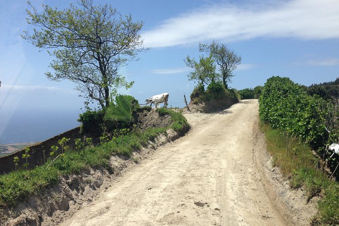 Scenic Trails of Sete Cidades: Half-Day Jeep Adventure - Reviews and Feedback