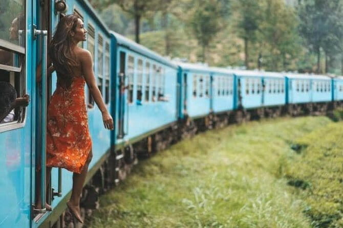 Scenic Train Ride Ella To Horton Plains National Park And Drop Nuwara Eliya - Key Points