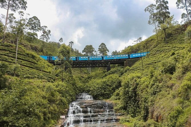 Scenic Train Ride Ella To Horton Plains National Park And Drop Nuwara Eliya - The Experience in Detail
