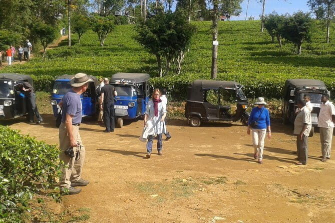 Scenic Train Ride Ella To Horton Plains National Park And Drop Nuwara Eliya - The Sum Up: Who Will Love This Tour?