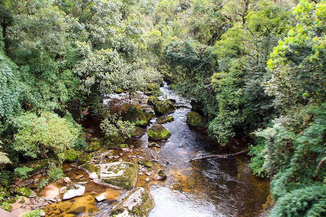 Scenic Train Ride to Historical Cities of Morretes and Antonina - Included Services and Itinerary