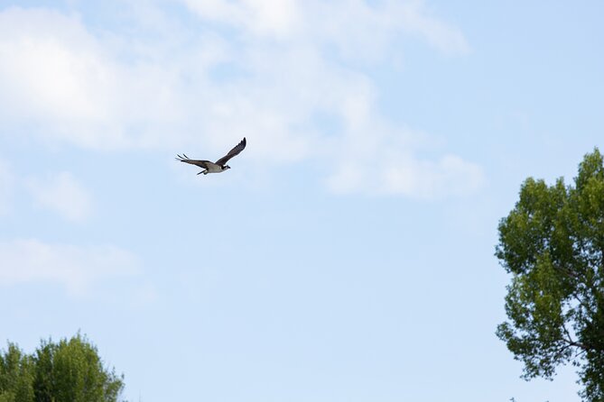 Scenic Wildlife Float Trip with Teton Views - The Itinerary in Detail