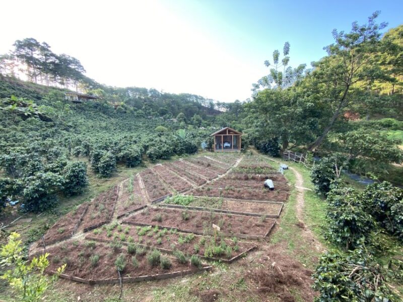 Scented candle workshop at Twin Beans Farm - Da Lat suburb - The Sum Up