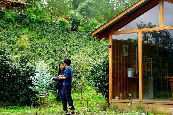 Scented Candle Workshop in Twin Beans Farm Da Lat - The Setting and Atmosphere