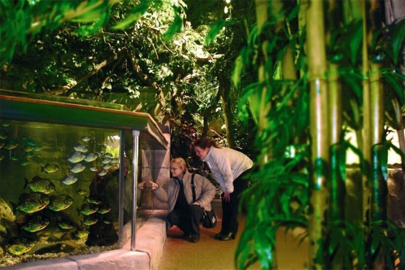 Scheveningen, The Hague: Sea Life Entry Ticket - Final Thoughts: Is Sea Life Scheveningen Worth It?