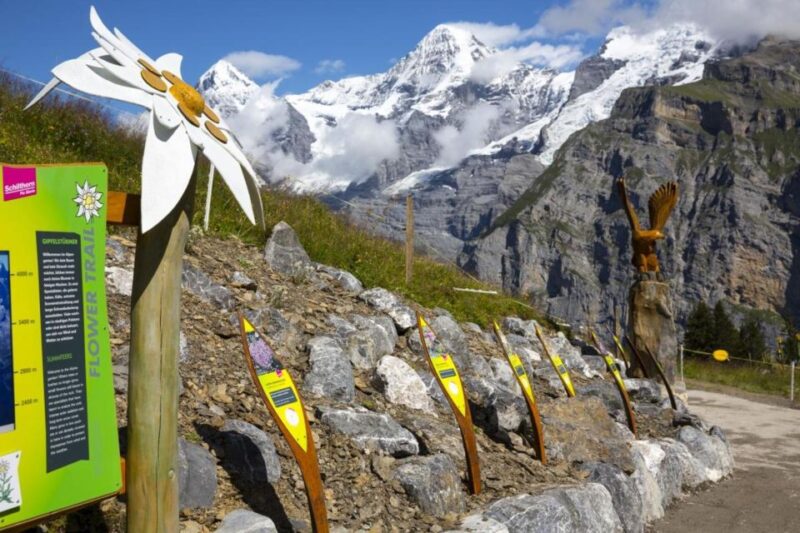 Schilthorn Day Trip and Bond World 007 From Geneva - Itinerary Highlights