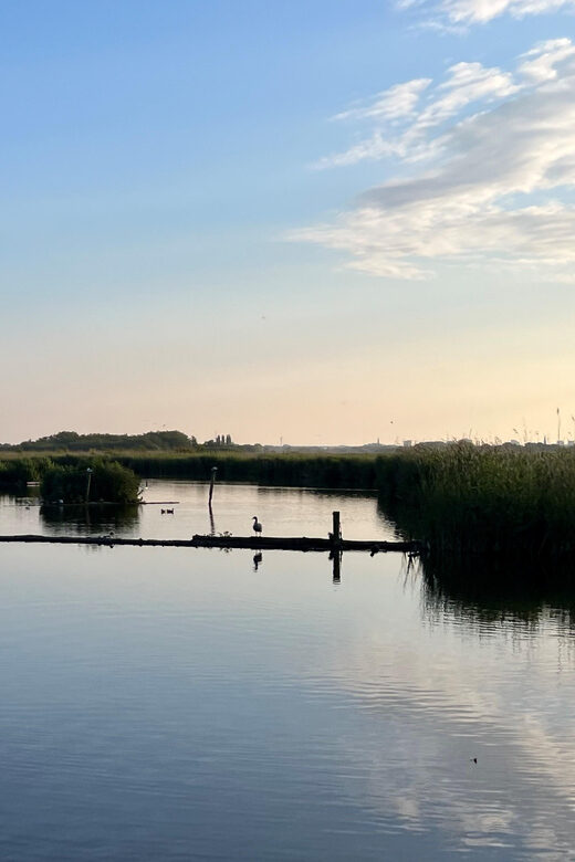 Schipluiden: Private Boat Tour to Rotterdam - An In-Depth Look at the Experience