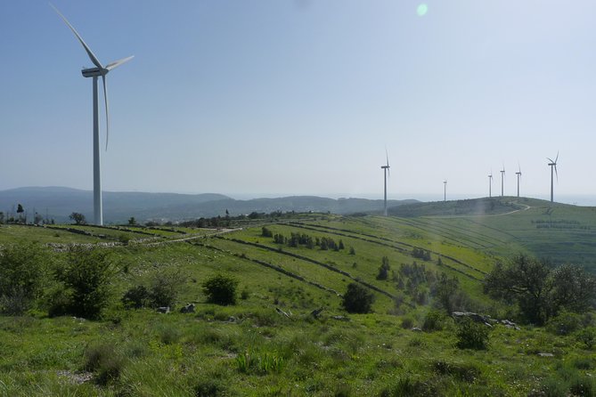 Schist Villages of Lousã, full-day from Coimbra - Lunch: A Taste of Traditional “Chanana”