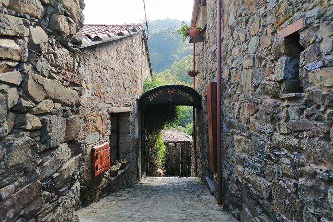 Schist Villages of Lousã, full-day from Coimbra - Final Stop: The Lousã Swing and Reflection