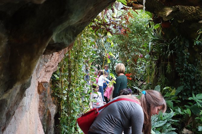 Schmetterlinghaus - Imperial Butterfly House Vienna Admission Ticket - Recommendations for Your Visit