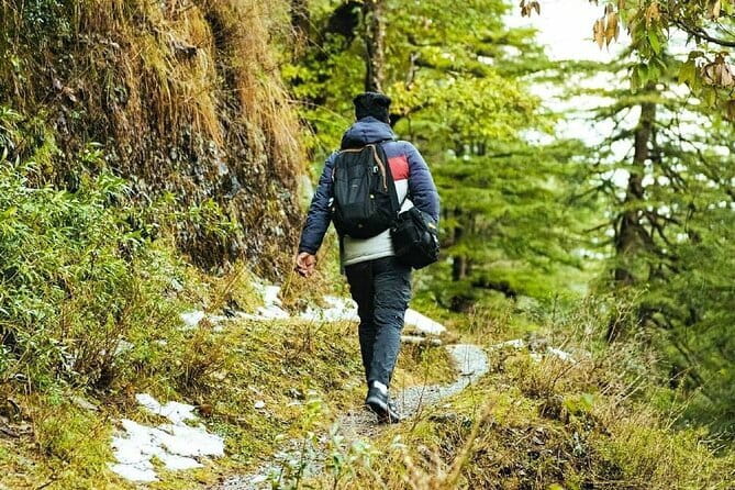 School Boy Walk - Why This Tour Offers Great Value