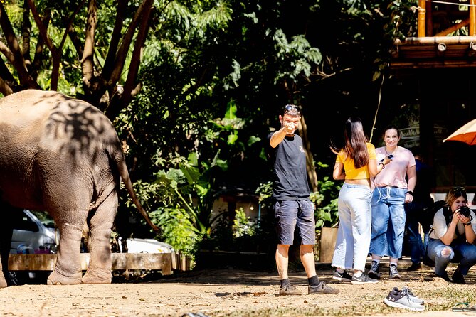 Scooter Adventure with elephants, views and FUN drive yourself - An In-Depth Look at the Chiang Mai Scooter Adventure