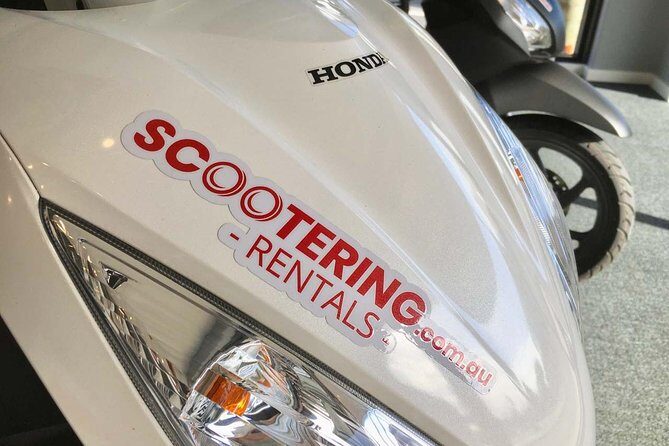 Scooter Rental - Honda NSC110 Dio 110cc - What to Expect During Your Week of Riding